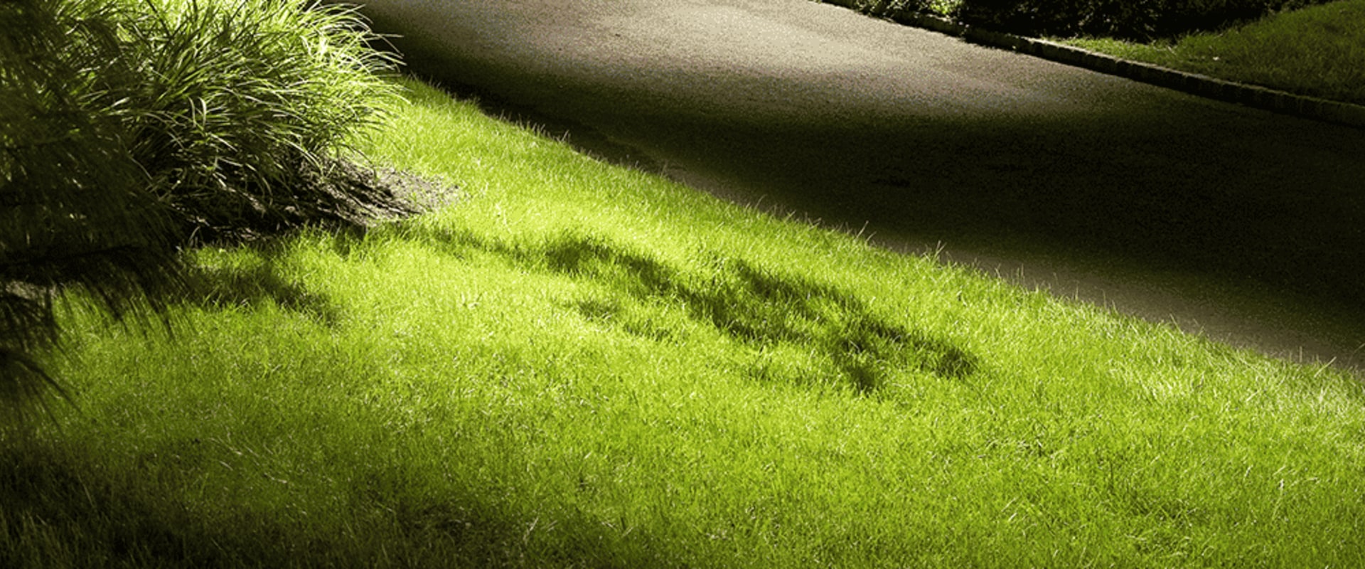 Mastering Your Smart Landscape Lighting System