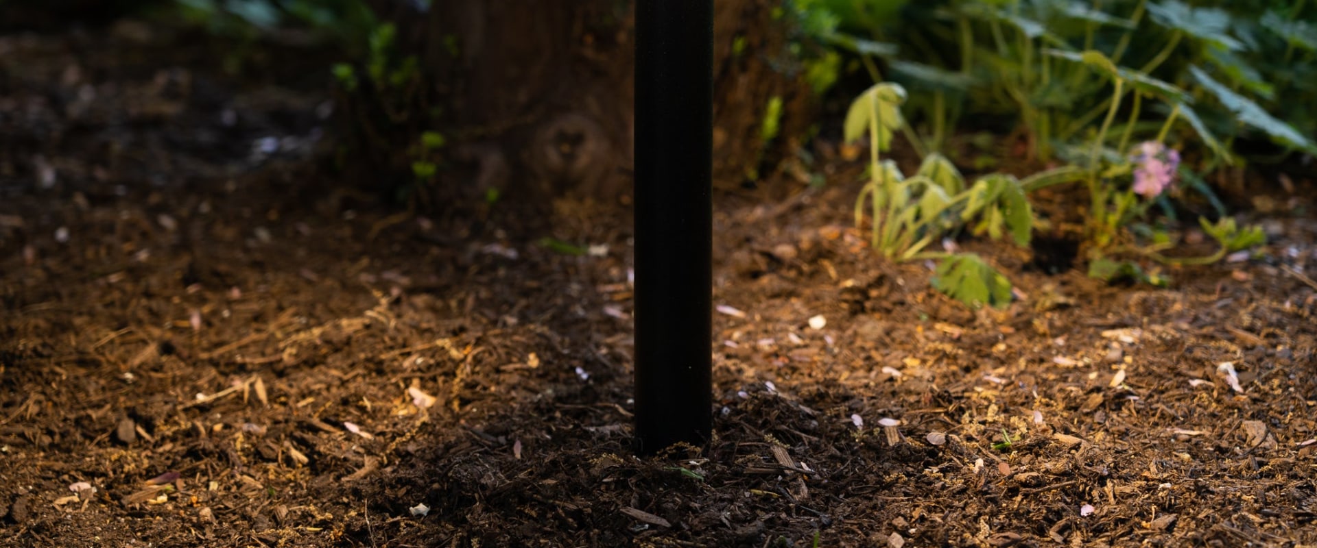 The Power of Smart Landscape Lighting: A Guide to Programming on a Schedule